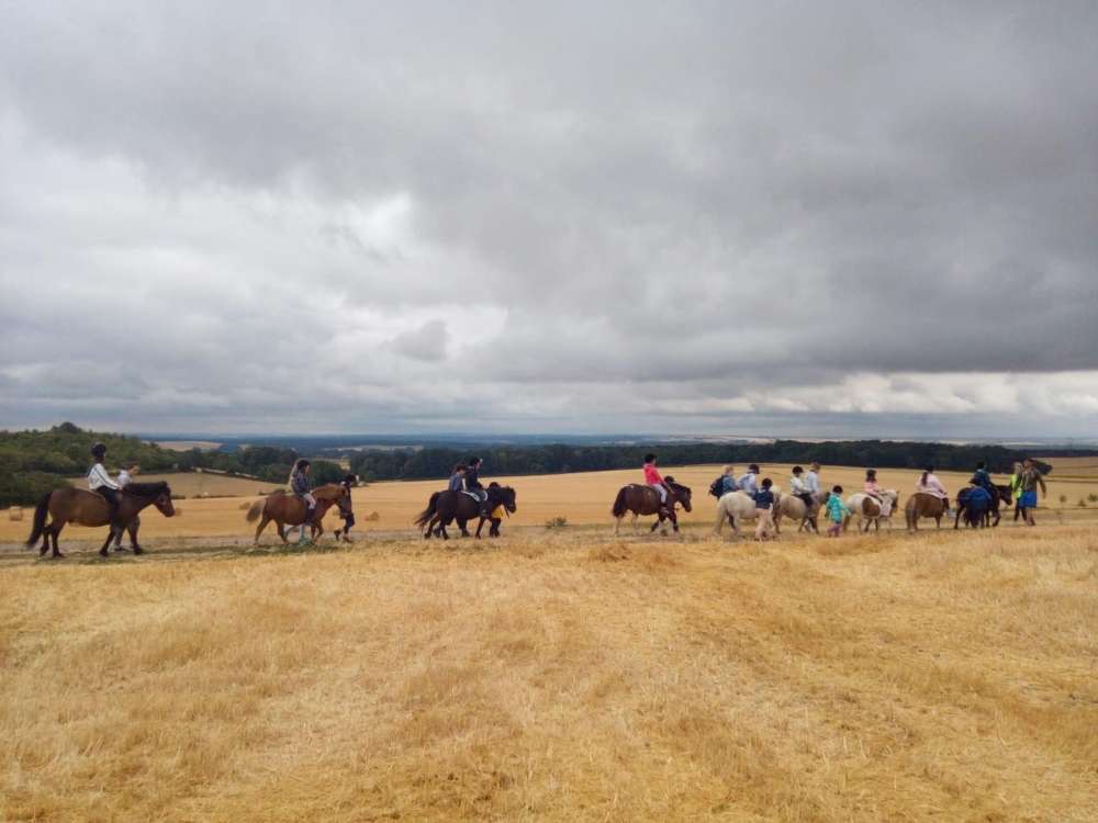 Randonnée à poney dans les champs - Poneys des 4 saisons