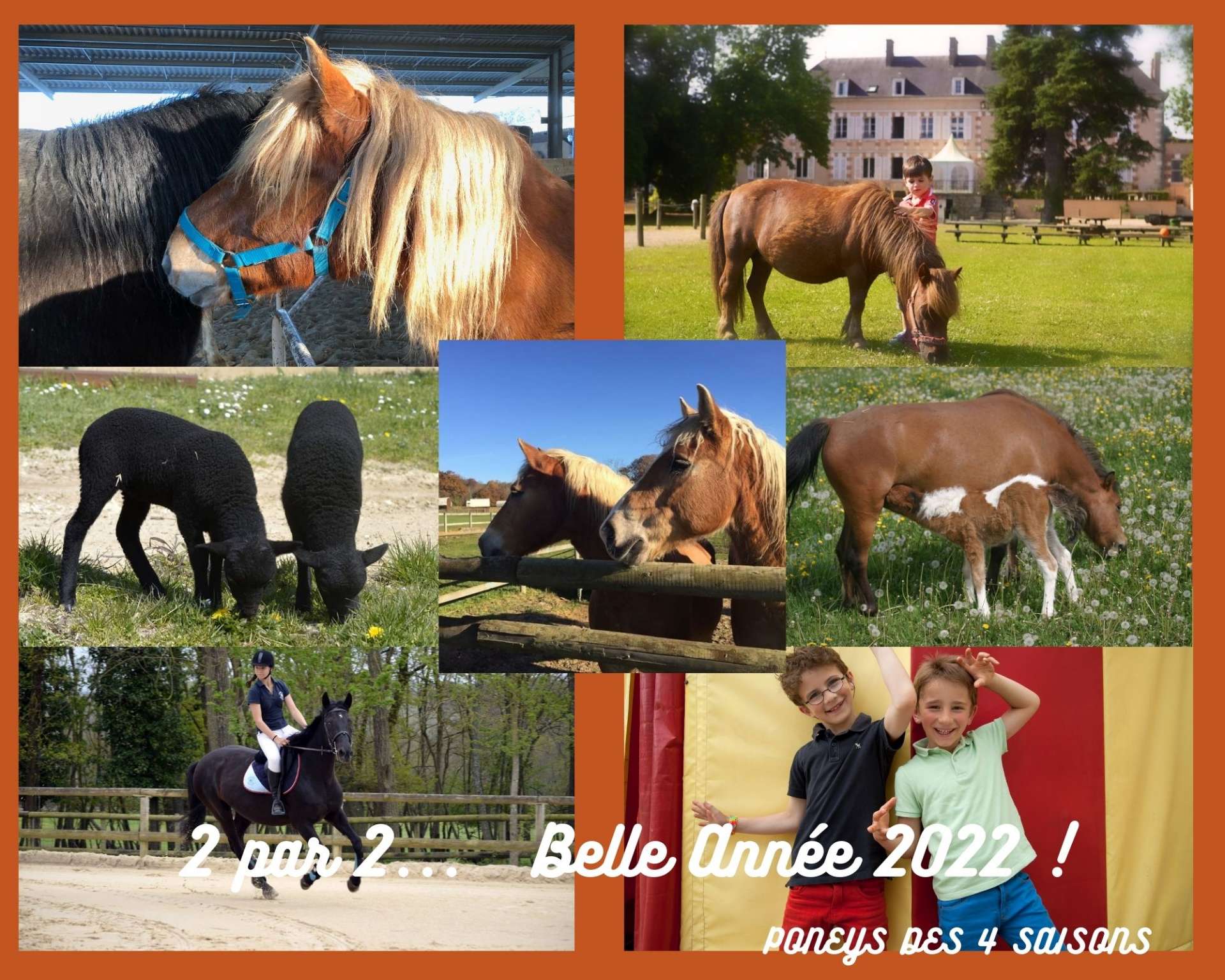 Excellente année 2022 à toutes et à tous ! - Poneys des Quatre saisons Excellente année 2022 à toutes et à tous ! - Poneys des Quatre saisons